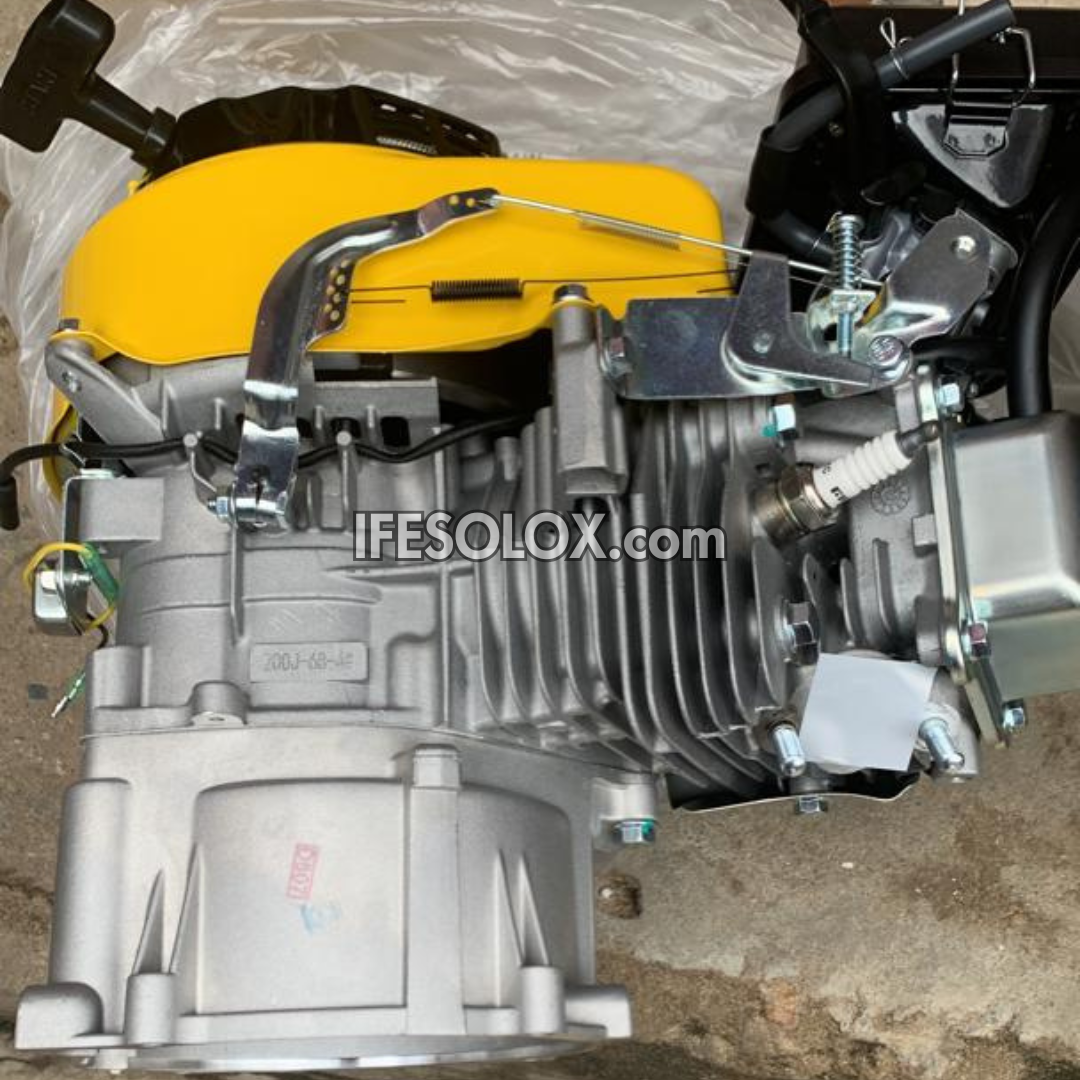 SUMEC FIRMAN SFE 200 6.5HP Original Manual Half Engine for SPG3000 and ...
